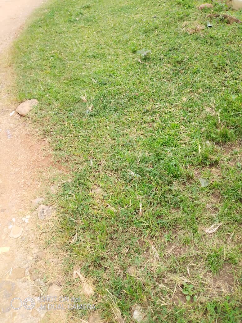 5000 Sqm Residential Land The MLS Properties